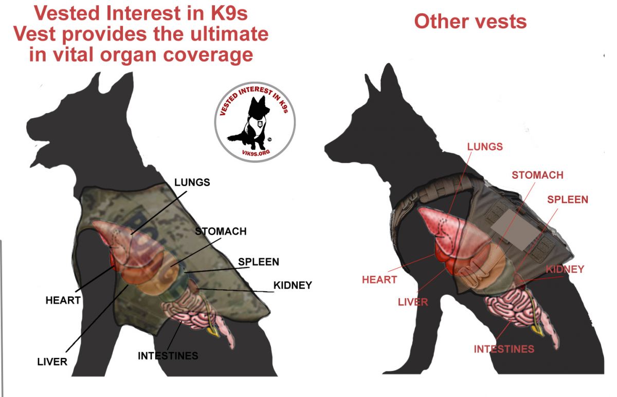 Vest Information » Vested Interest in K9s