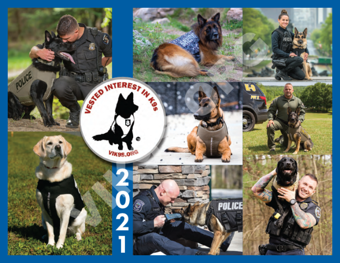 Store » Vested Interest in K9s