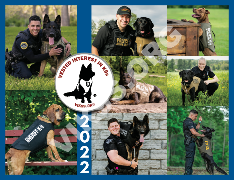 Store » Vested Interest in K9s