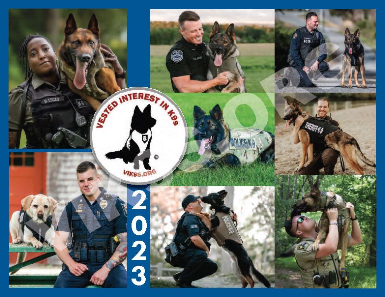 Store » Vested Interest in K9s