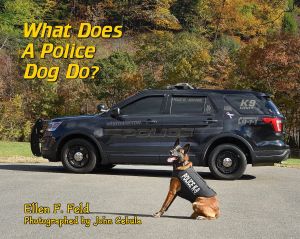 Store » Vested Interest in K9s